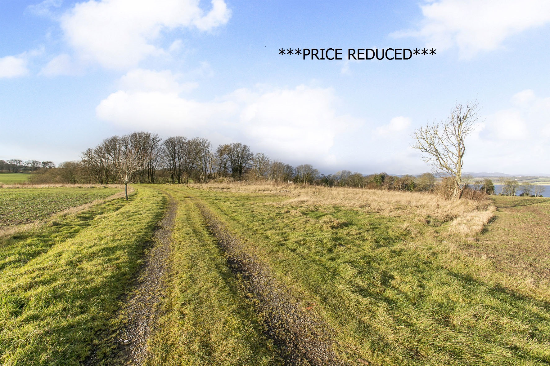 Building Plot, Former Castle Site, Rossie Braes | Thorntons Property